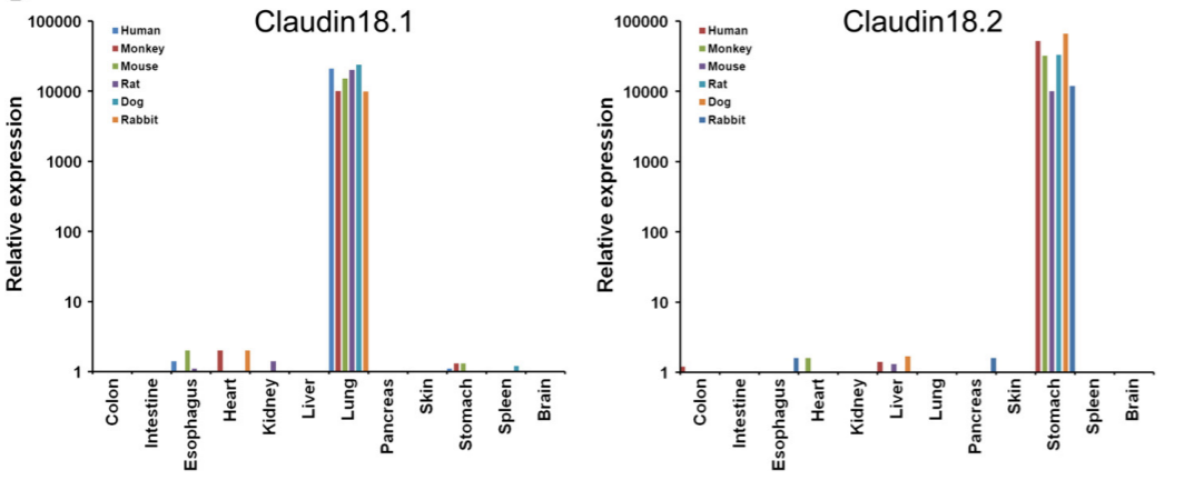 熙宁生物 | 精翰生物 创新型CRO